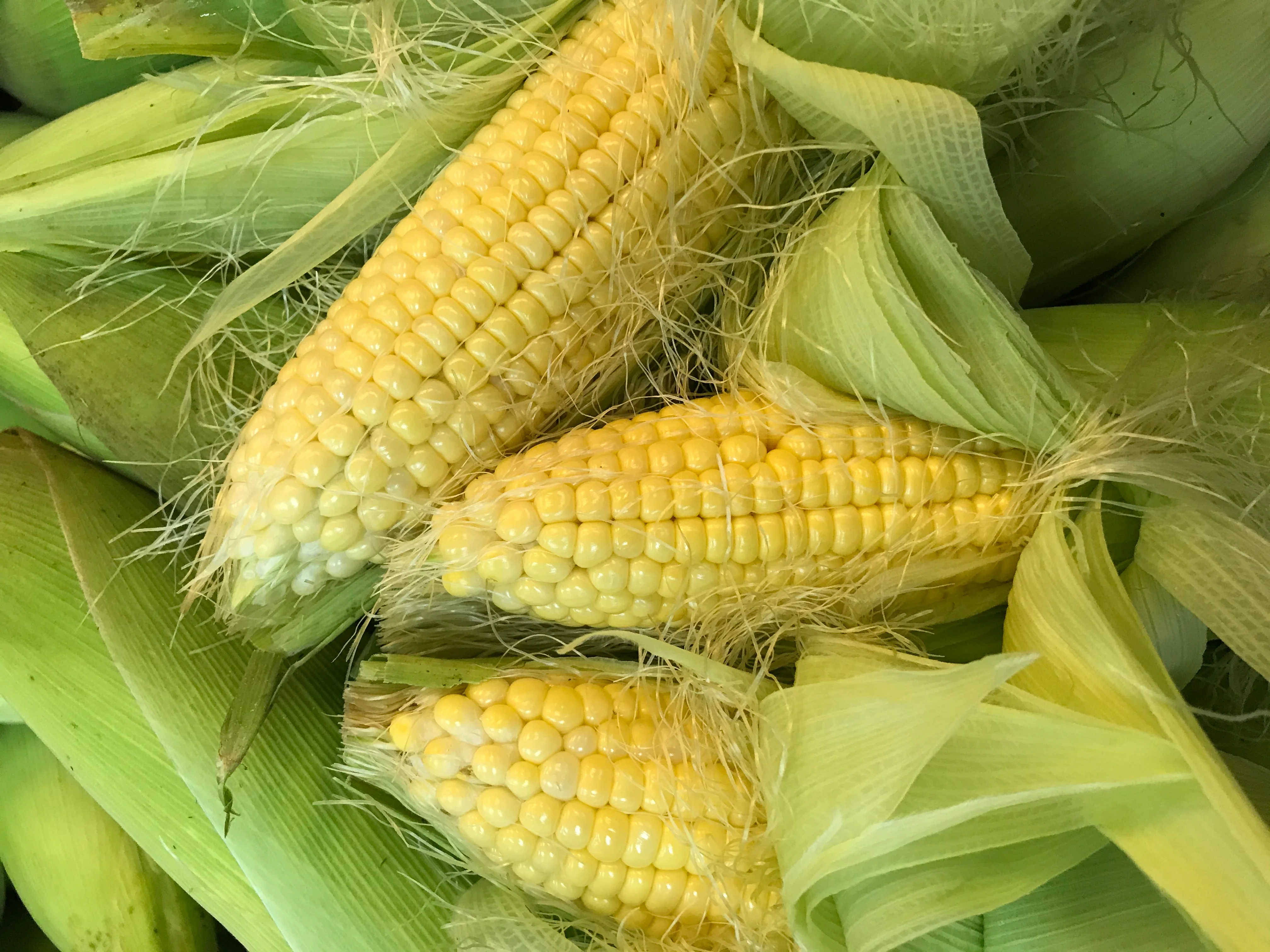 Sweet-corn | Aaiwini