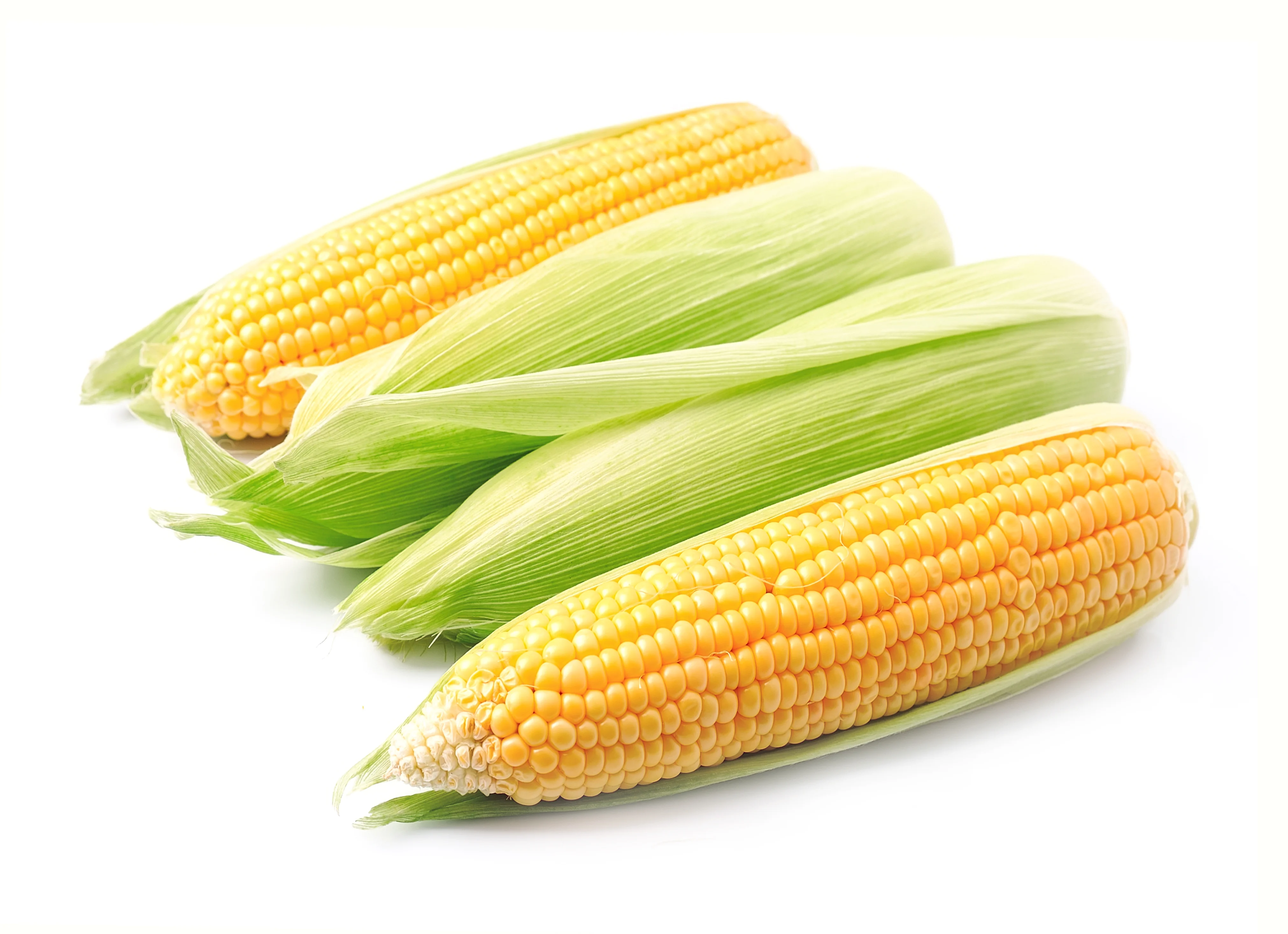 Sweet-corn | Aaiwini
